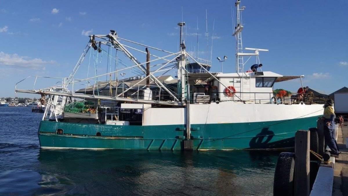 Prawn Trawler: Commercial Vessel | Boats Online for Sale | Steel ...