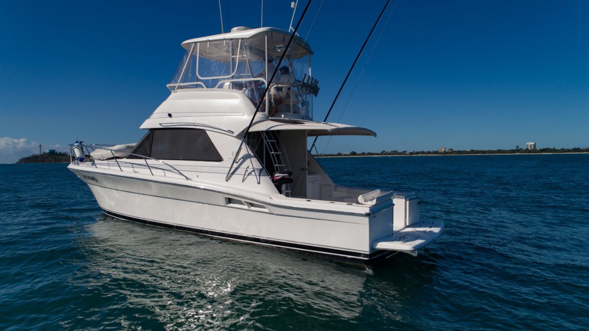 Riviera 36 Flybridge - Single cabin great condition! Reduced now!! For ...