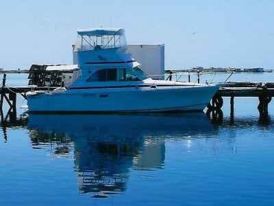 Bertram Caribbean 35 Twin Cat Diesels: Power Boats | Boats Online for ...