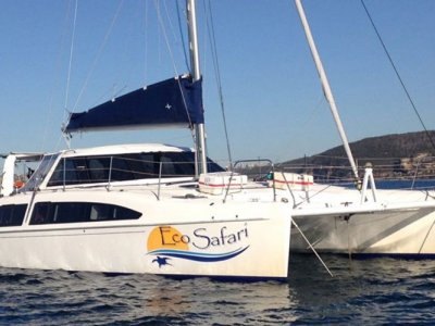 Used SEAWIND Boats for Sale | Yachthub