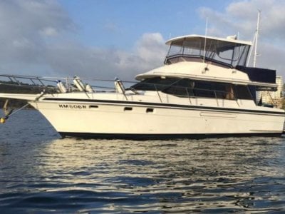 Markline Boats For Sale in Australia | Boats Online