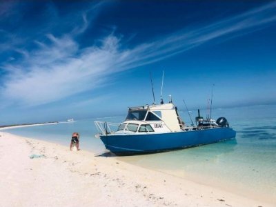 Penguin Boats For Sale in Australia | Boats Online