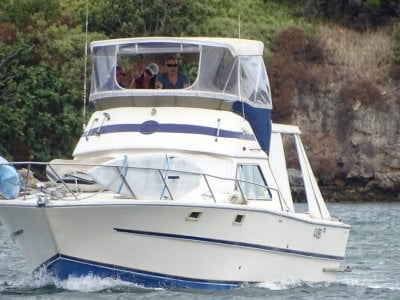 Randell Boats For Sale in WA | Boats Online