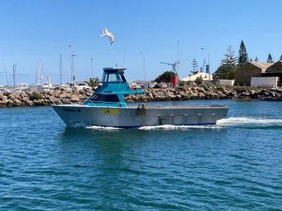 Westcoaster Boats For Sale in Australia | Boats Online