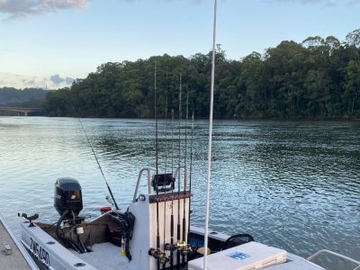 Stessl Boats For Sale in Australia | Boats Online