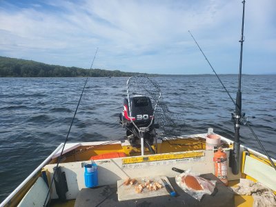 Quintrex Fishabout Boats For Sale in Australia | Boats Online