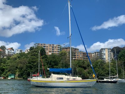 Compass Yachts Boats For Sale in Australia | Boats Online