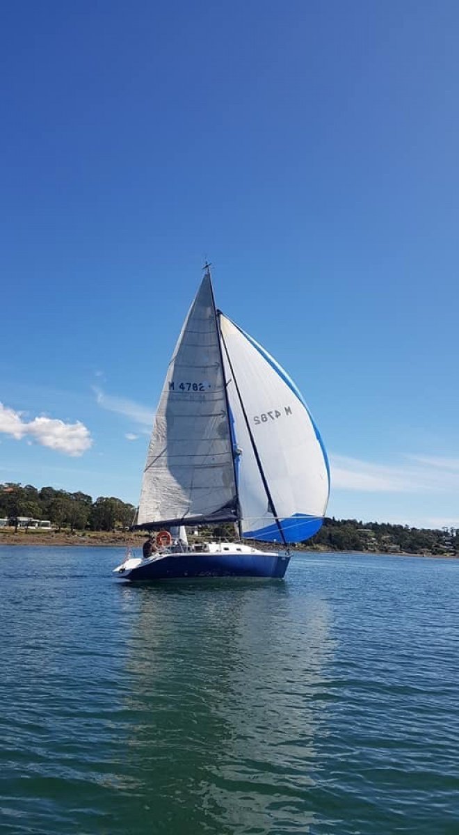 Used Davidson 34 Davidson 34 Successful Cruiser/racer! for Sale ...