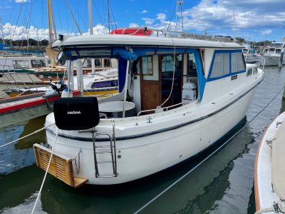 Cuddles Boats For Sale in Australia | Boats Online