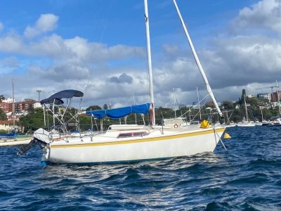 Cole Boats For Sale in Australia | Boats Online