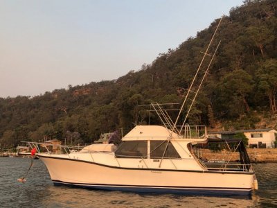 Steber Boats For Sale in Australia | Boats Online