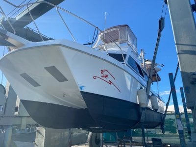 Powercat Boats For Sale in Australia | Boats Online