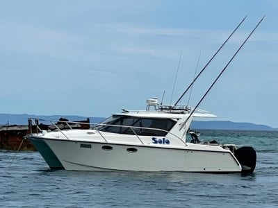 Arrowcat Boats For Sale in Australia | Boats Online