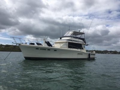 Mariner Flybridge 43 Boats For Sale in Australia | Boats Online