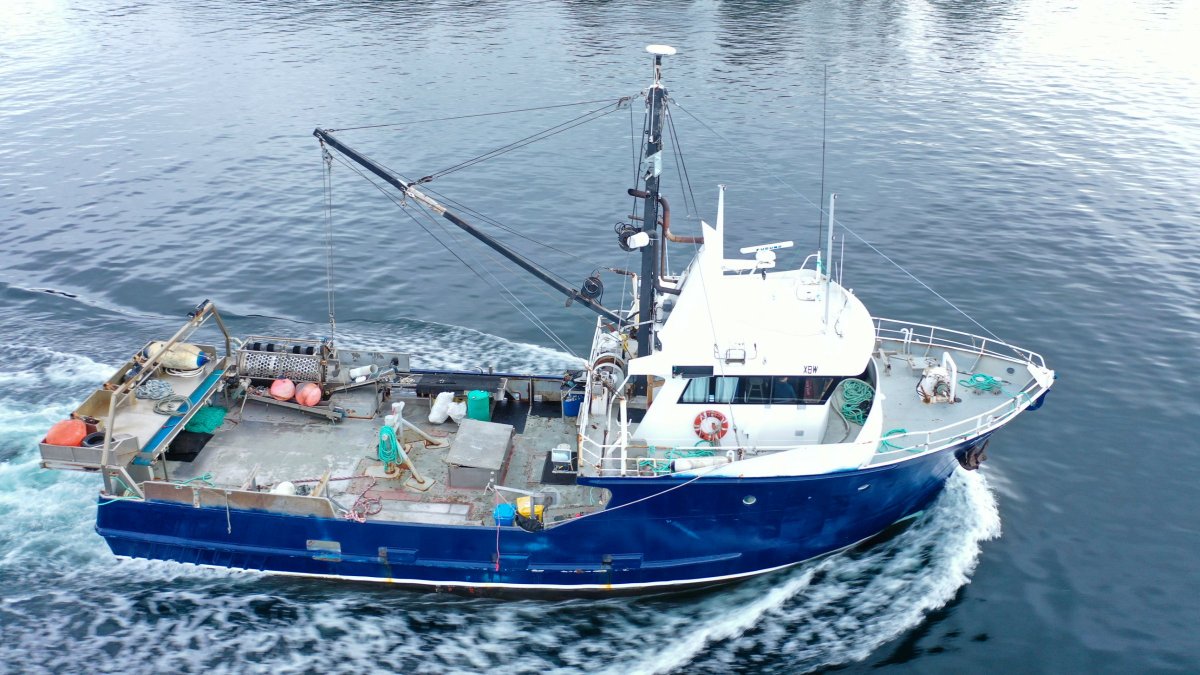 Adelaide Ship Construction Trawler / General Purpose: Commercial Vessel ...