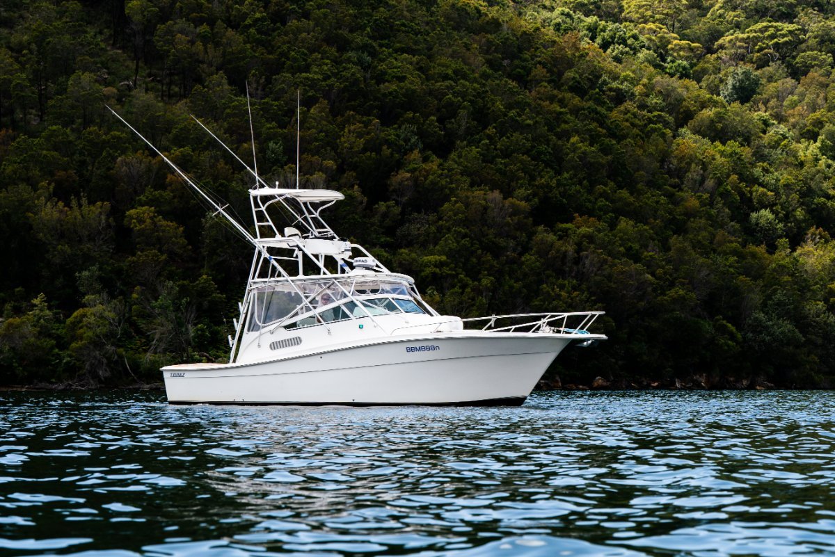 Topaz 32 Express -2001my: Power Boats | Boats Online for Sale ...