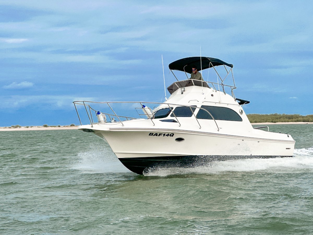 2019 Custom Flybridge 40: Power Boats | Boats Online for Sale ...