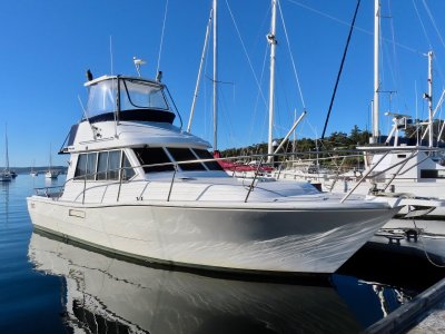 Steber Boats For Sale in Australia | Boats Online
