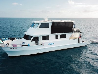 Nustar Boats For Sale in Australia | Boats Online
