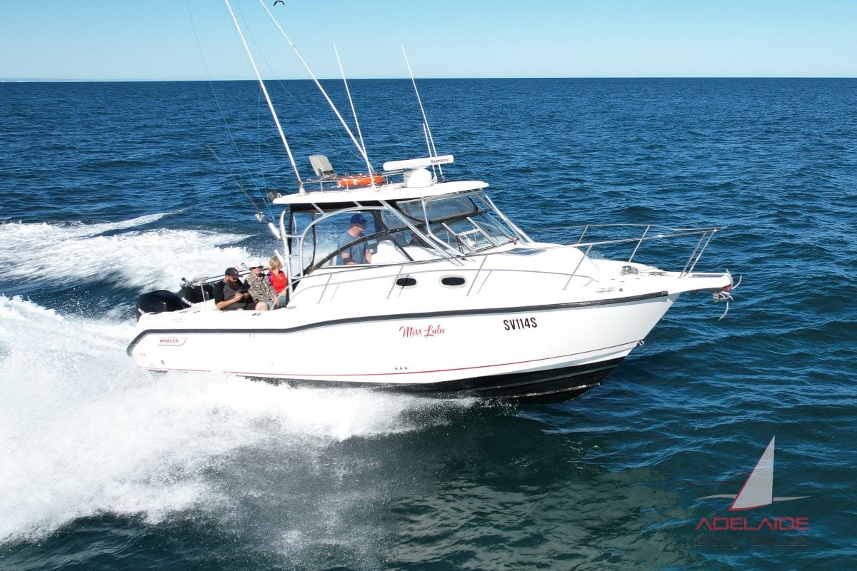 Boston Whaler 305 Conquest: Power Boats | Boats Online for Sale ...