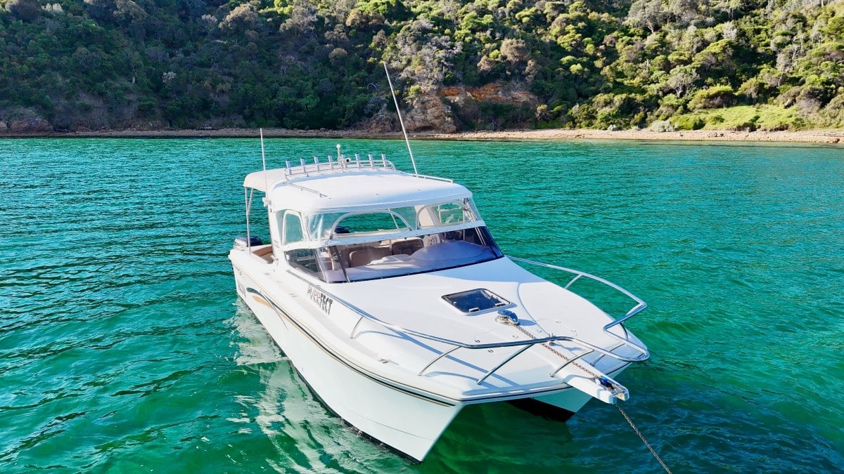 Powercat 3000 Sports Cabriolet: Power Boats | Boats Online for Sale ...