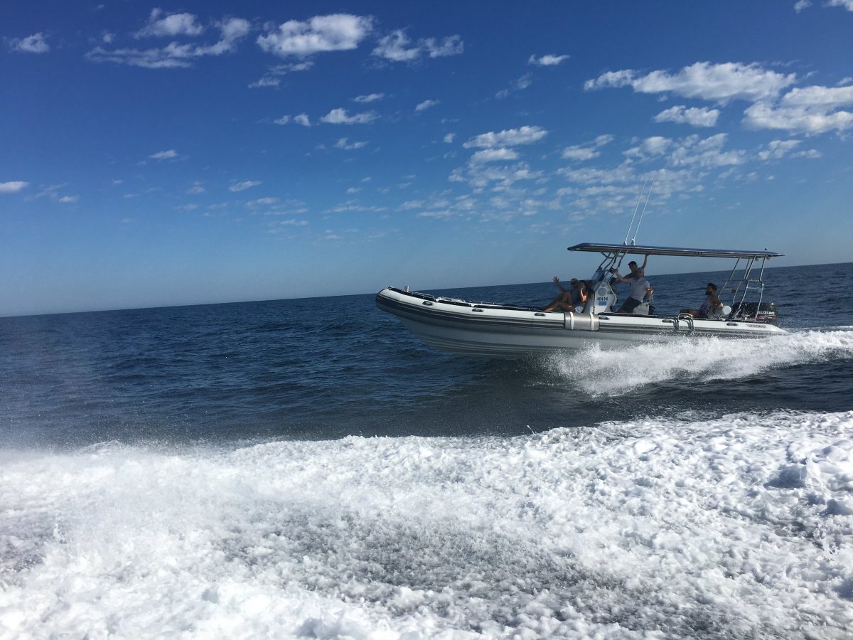 New Stingray Ribs 9.5 Searaider: Commercial Vessel | Boats Online for ...