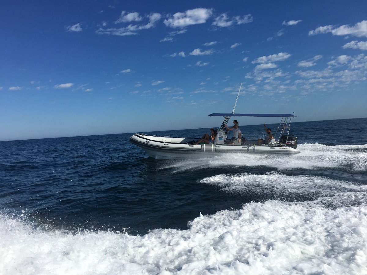 New Stingray Ribs 9.5 Searaider: Commercial Vessel | Boats Online for ...