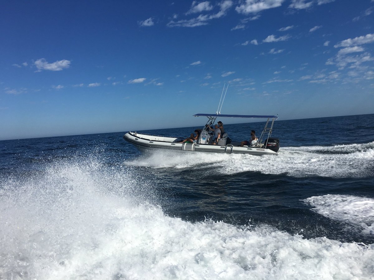 New Stingray Ribs 9.5 Searaider: Commercial Vessel | Boats Online for ...