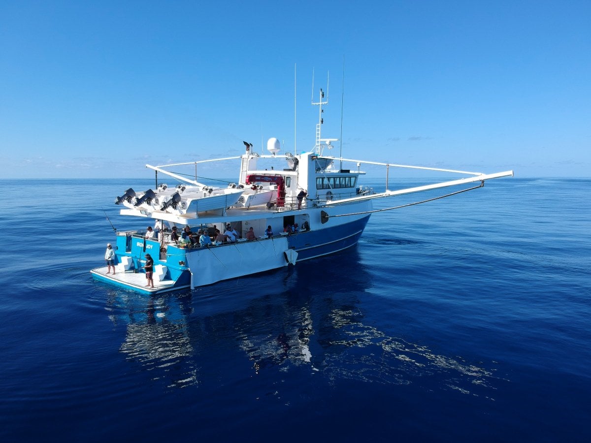 Used Iron Joy Charters - Offshore Extended Fishing for Sale | Yachts ...