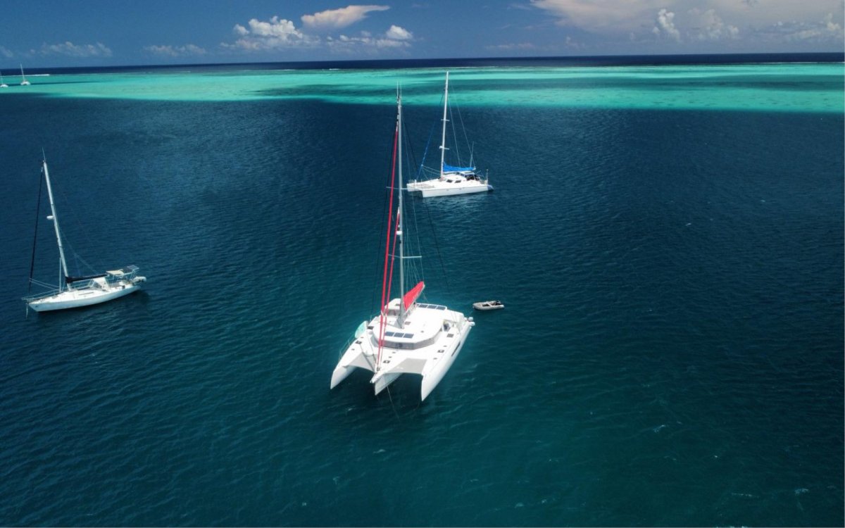 Neel Trimarans 47: Sailing Trimaran for Sale | Fibreglass/grp Sail ...