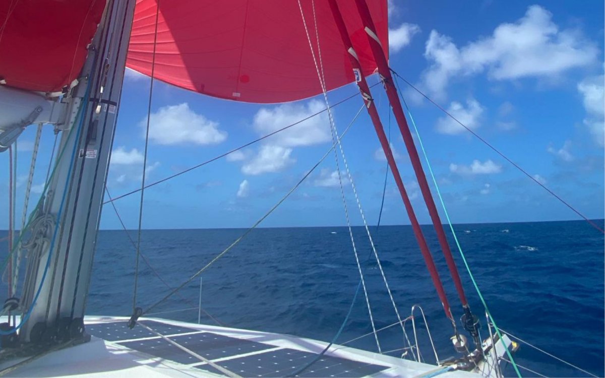 Neel Trimarans 47: Sailing Trimaran for Sale | Fibreglass/grp Sail ...
