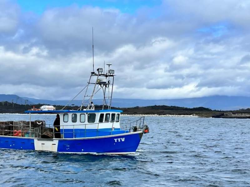 Boats For Sale in TAS | Boats Online