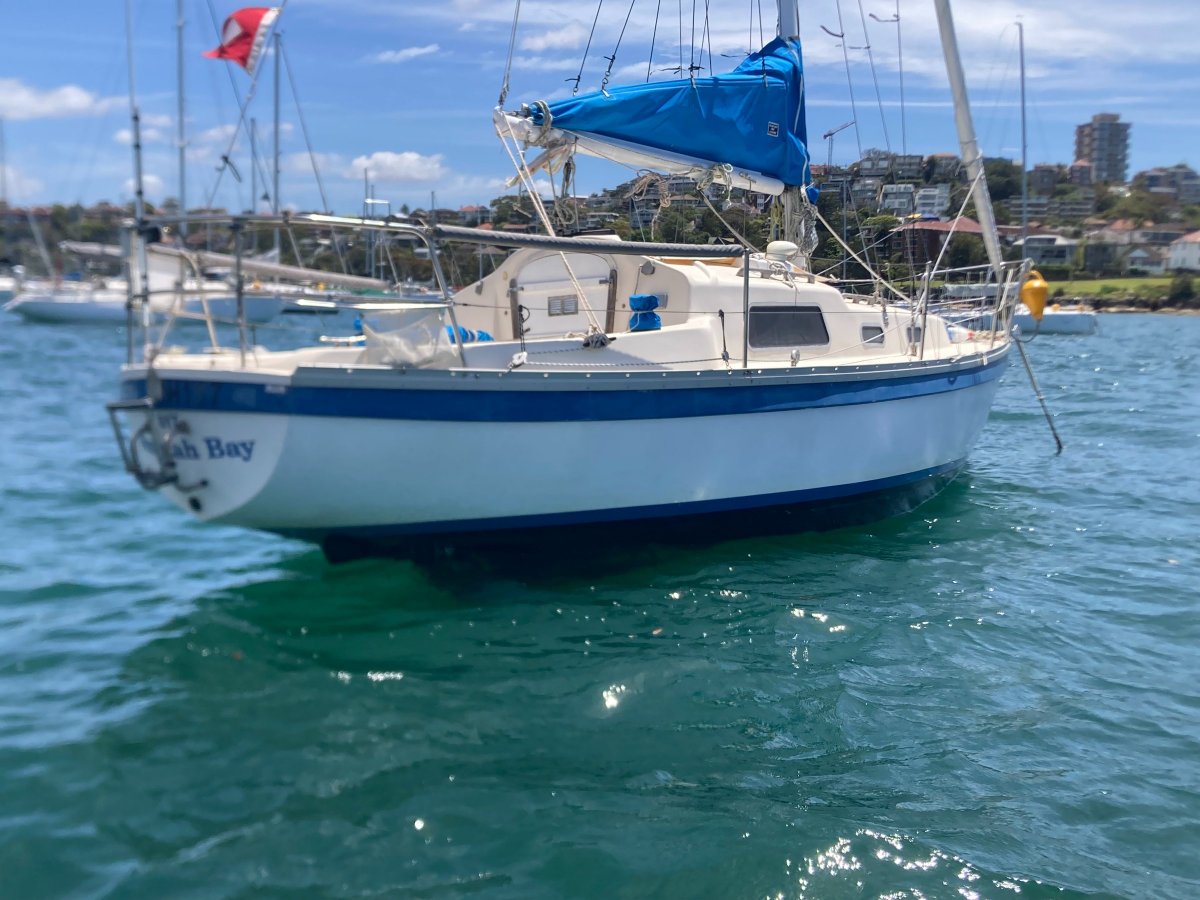 Compass 29 Very Nice Survey Report 2024 Updated Diesel (syd): Sailing ...