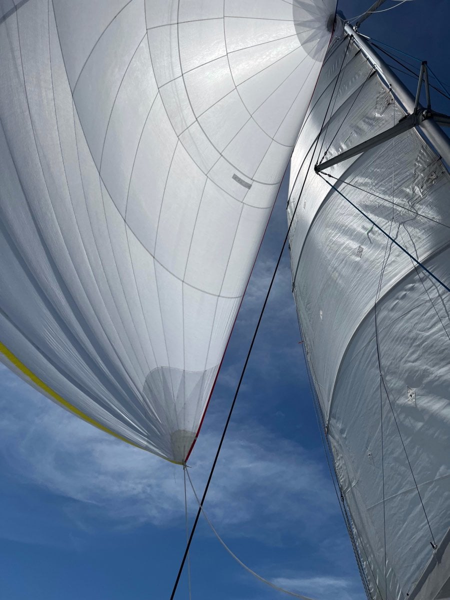 Malcolm Tennant 10.5 Cruising Catamaran: Sailing Catamaran for Sale ...