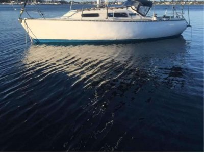 Boats For Sale in WA | Boats Online