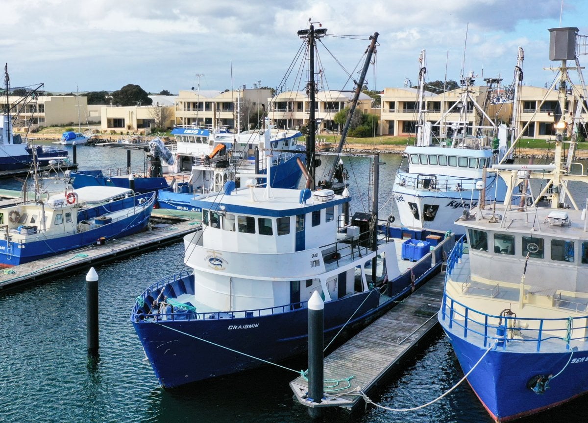 22.64m Aquaculture Service Vessel: Commercial Vessel | Boats Online for ...