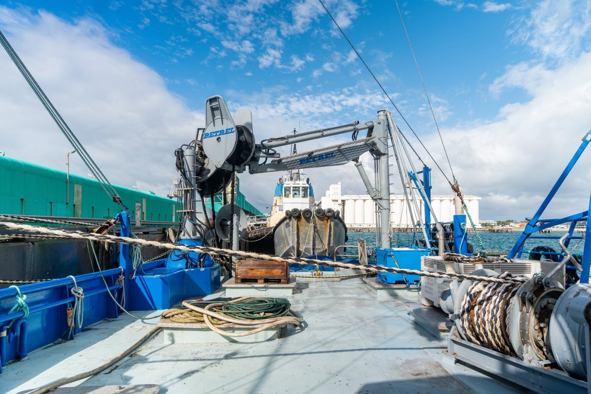 Adelaide Ship Construction Tuna Purse Seiner For Sale | Oceaneer Marine