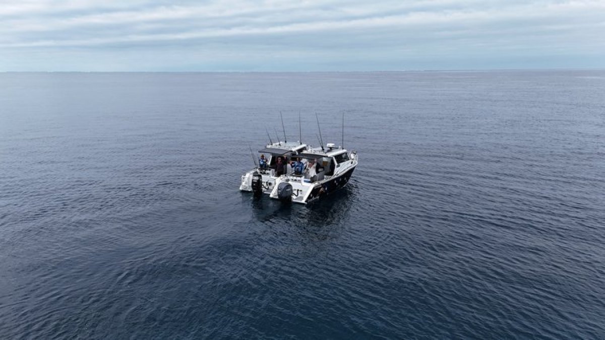 New Razerline Olympian: Trailer Boats | Boats Online for Sale ...
