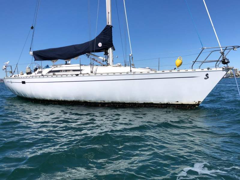 Beneteau 38 Needs Tidy Up Low Price Opertunity Sydney Harbour: Sailing ...