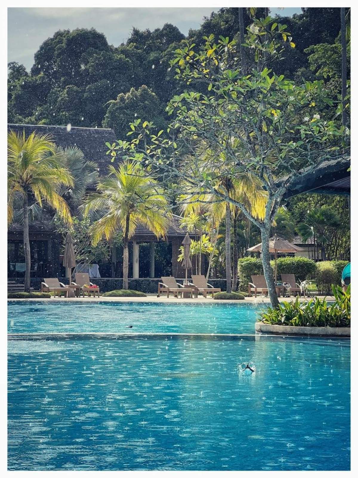 Used Diesel Duck 46+2 Pilot House Motor Yacht For Sale for Sale | Boats ...