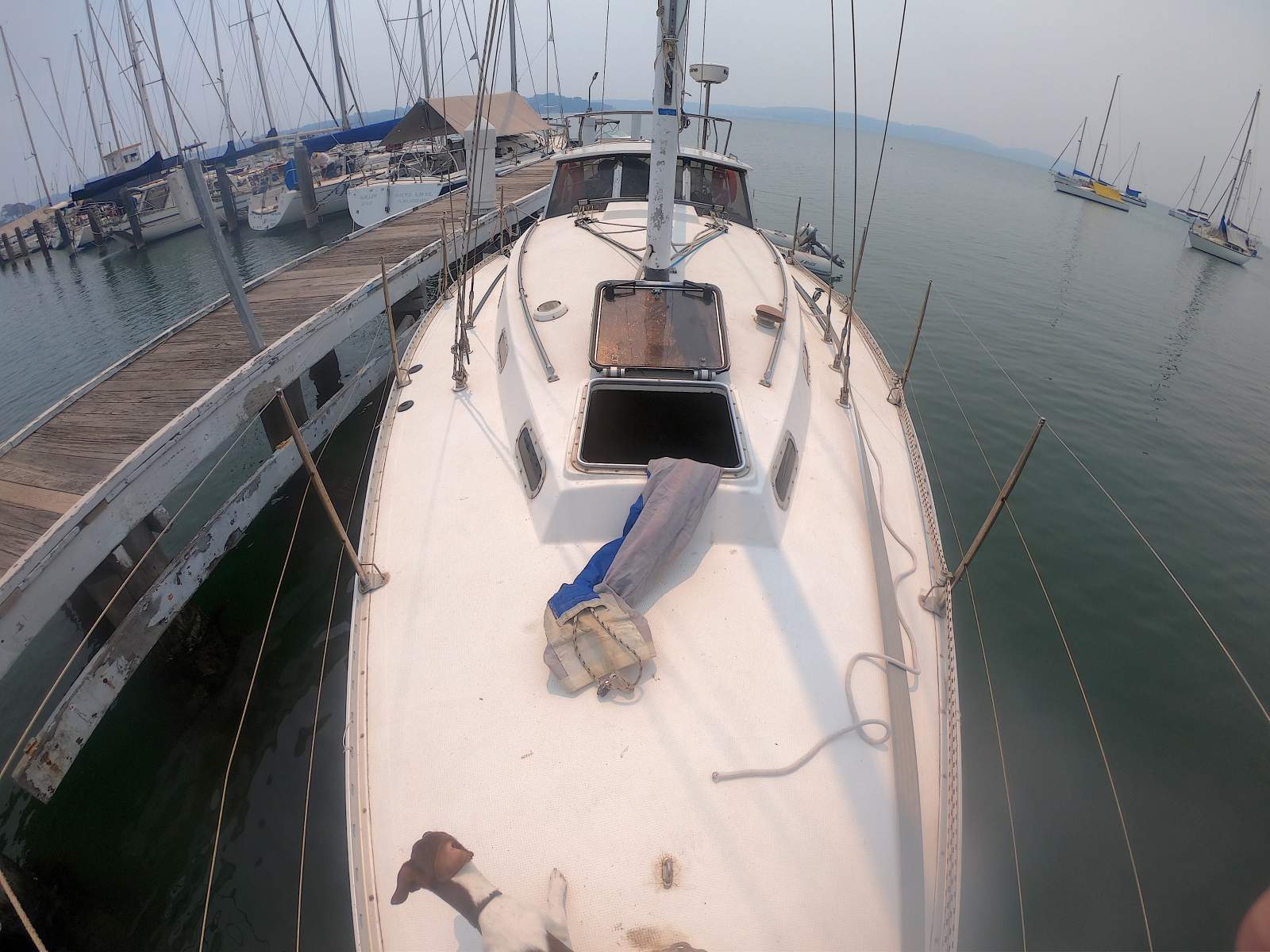 Phantom 34 For Sale | Buy a Boat Newcastle Lake Macquarie Hunter Port ...