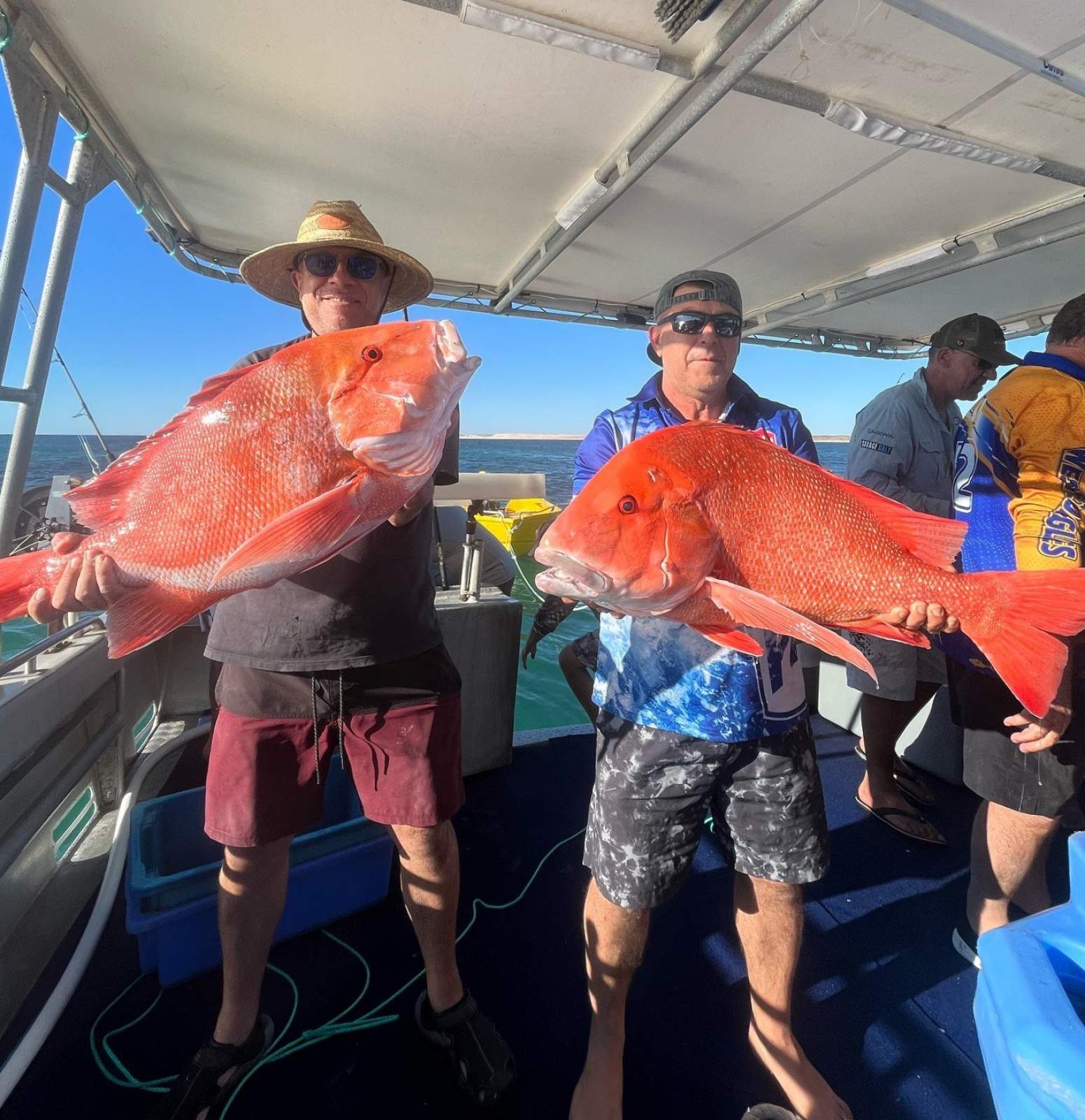 Coral Bay Deep Sea and Game Fishing Charter Opportunity For Sale