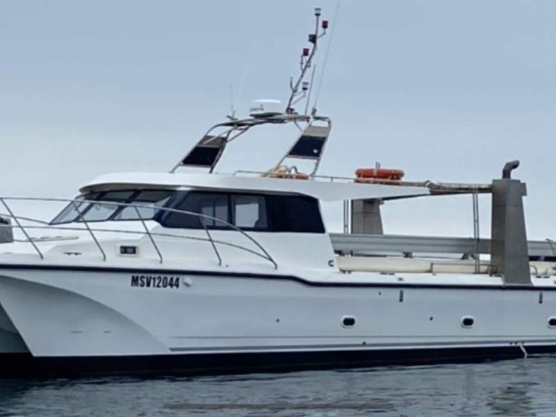 Cougar Cat Power Catamarans / Multihull Boats from 31ft(9.44m) For Sale ...