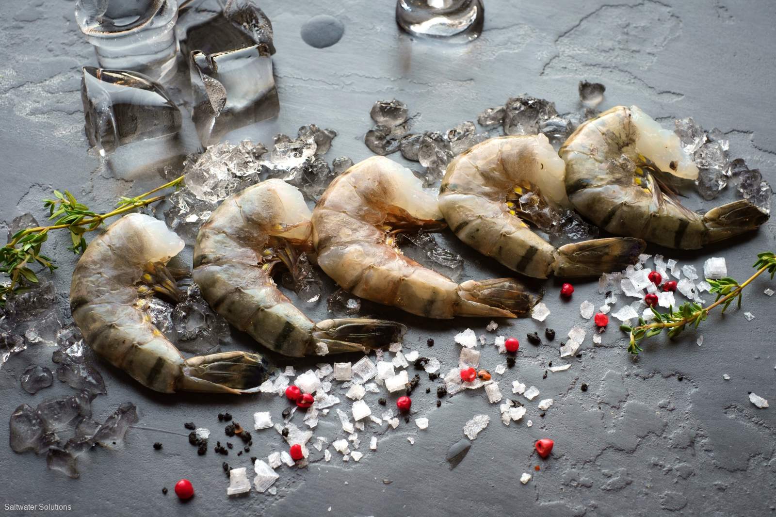 Used Primary With An M1 Symbol Plus 3040 Units for Sale | Yachthub