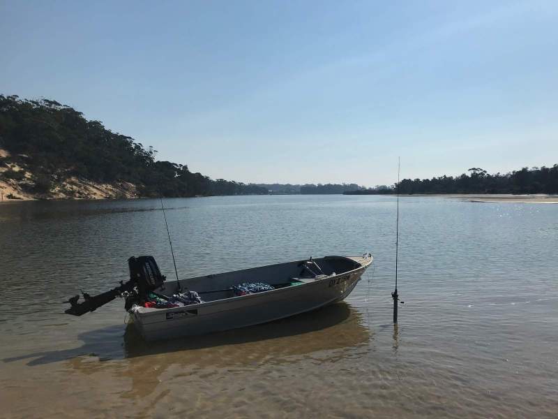 Savage 355 Gull: Dinghies & Tinnies | Boats Online for Sale | Aluminium ...