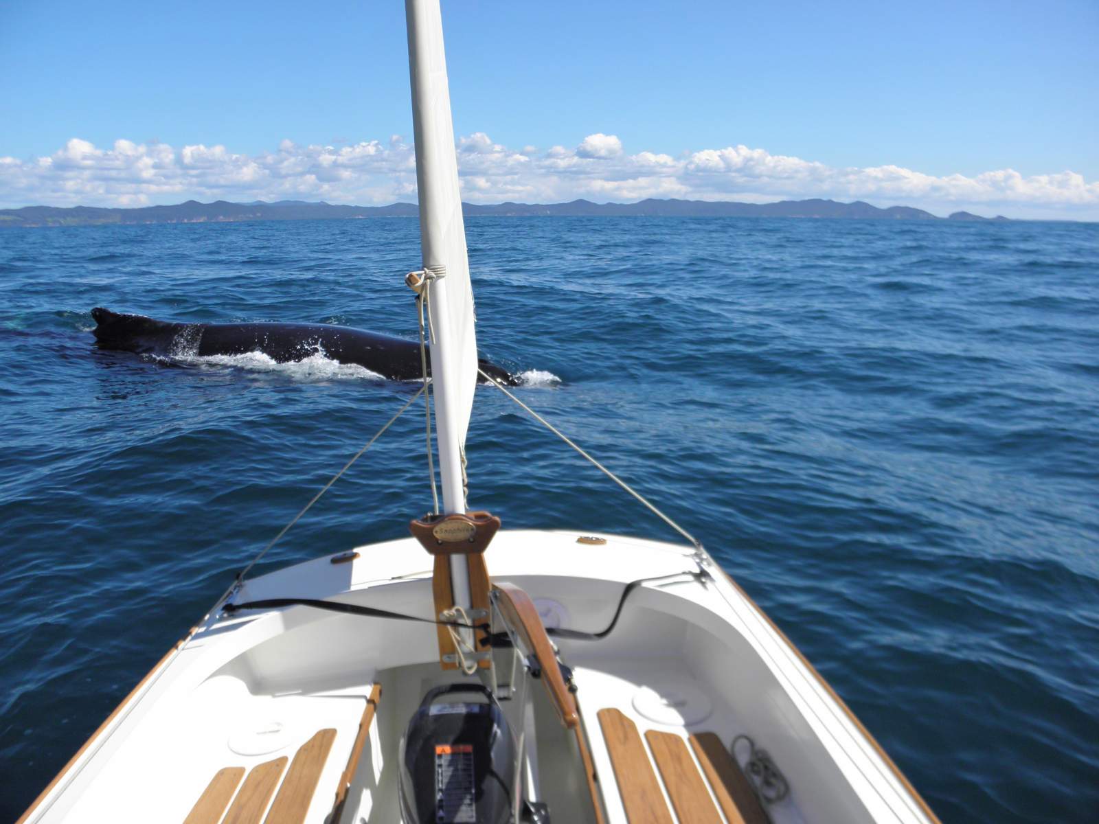 Bay Raider 17 SUPERBLY BUILT AND MAINTAINED, VERSATILE DESIGN! For Sale ...