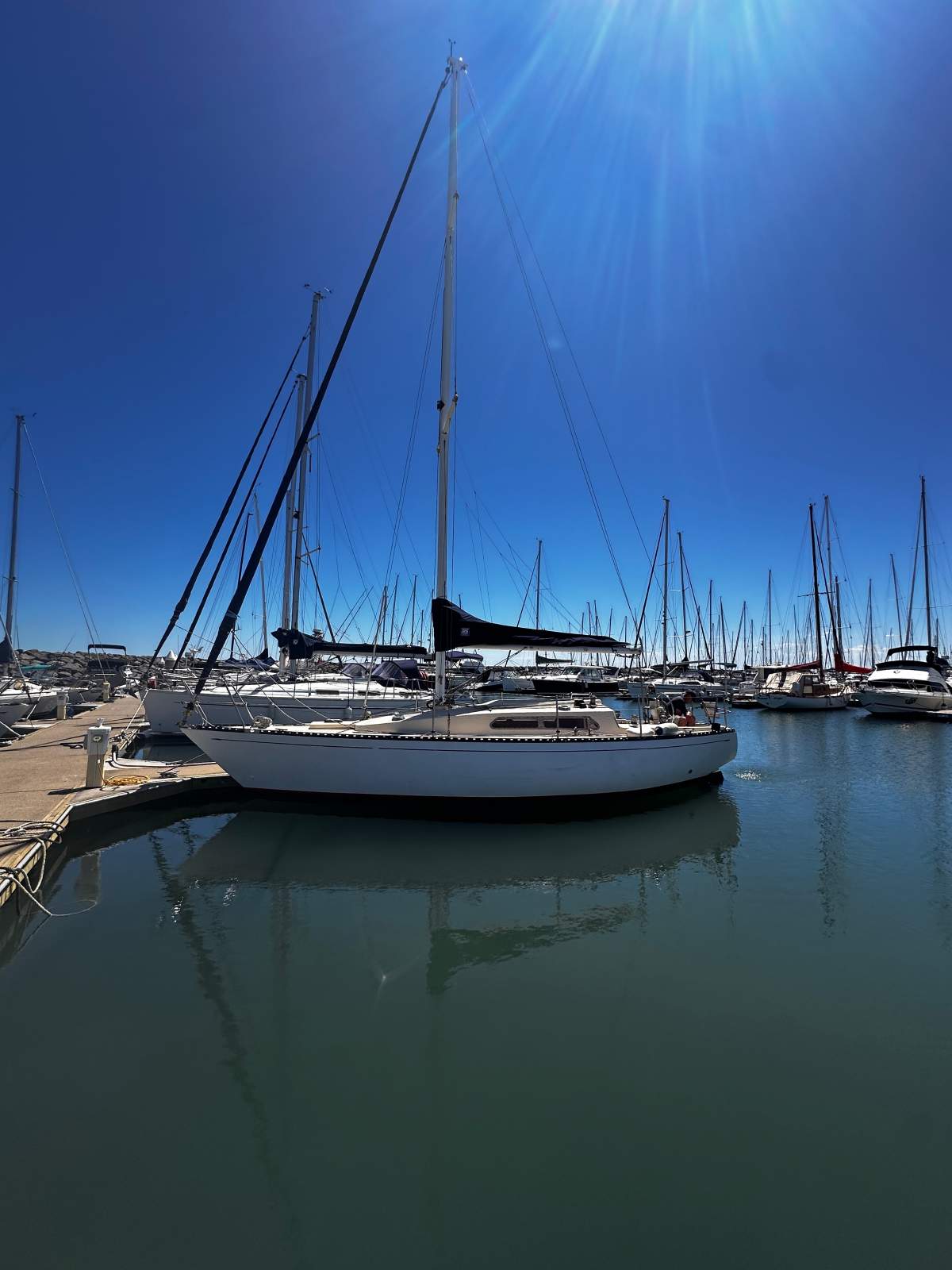 Used Carter 33 for Sale | Yachts For Sale | Yachthub