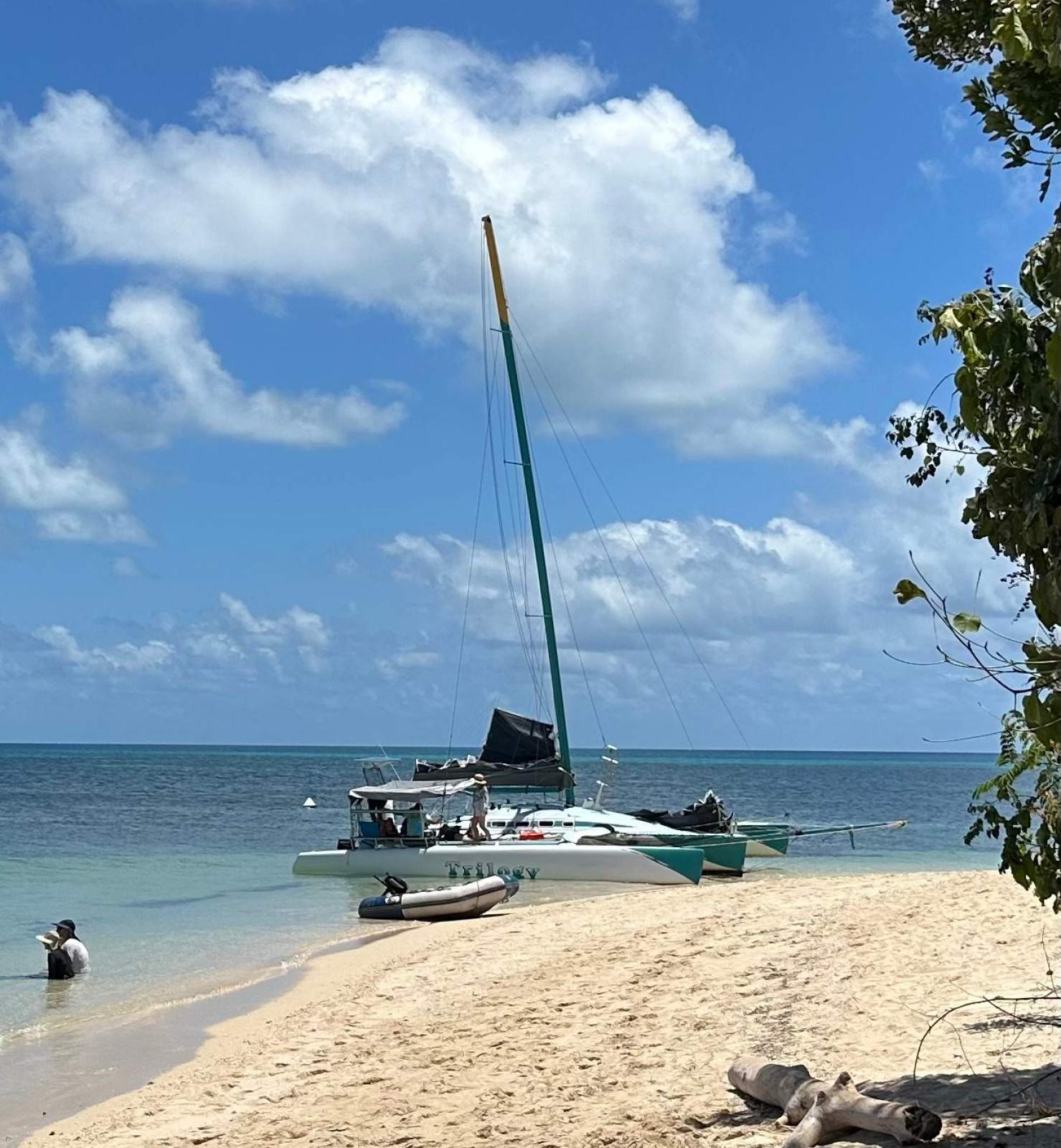 Used Grainger Custom Carbon Fibre Trimaran for Sale | Yachts For Sale ...