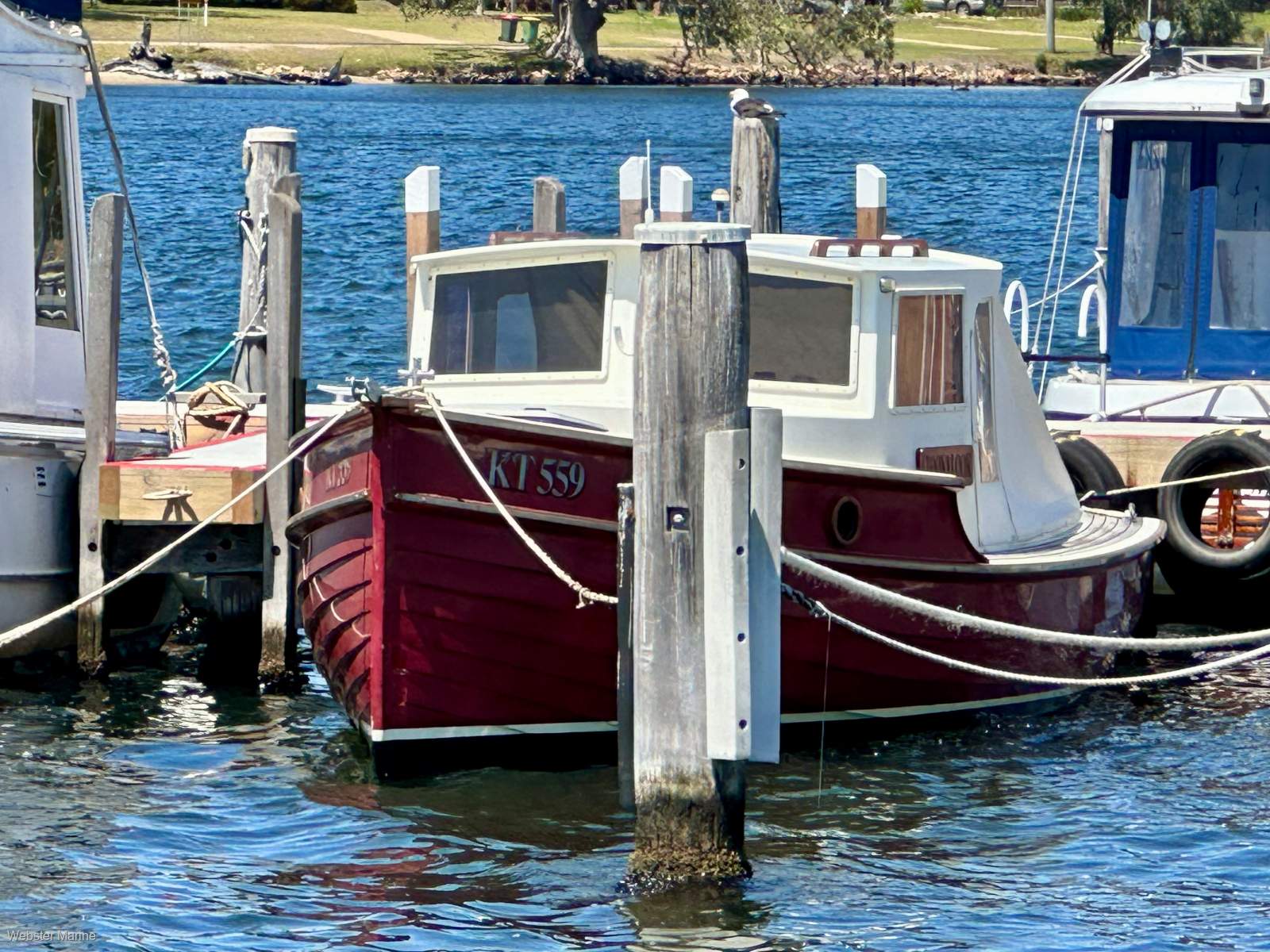 Custom 20' Timber Cruiser For Sale | Webster Marine