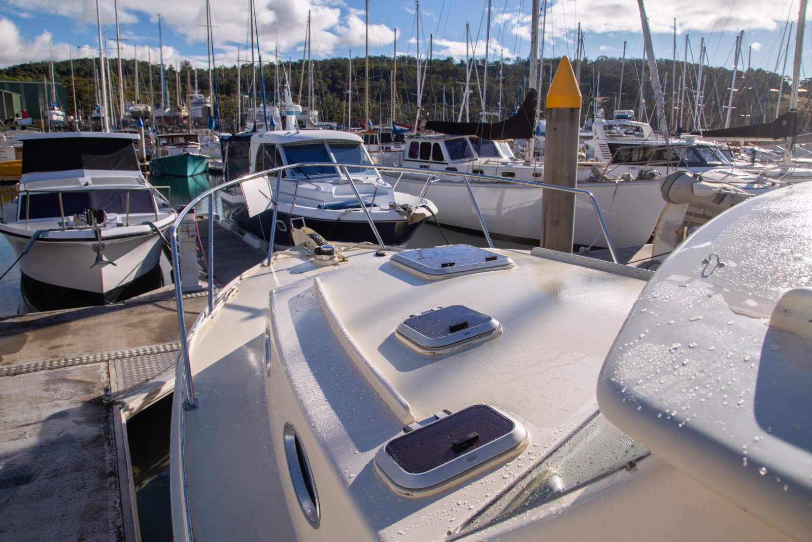 Max Creese 36 Sedan Motor Cruiser EFFICIENT SEDAN CRUISER, EXCEPTIONAL ...